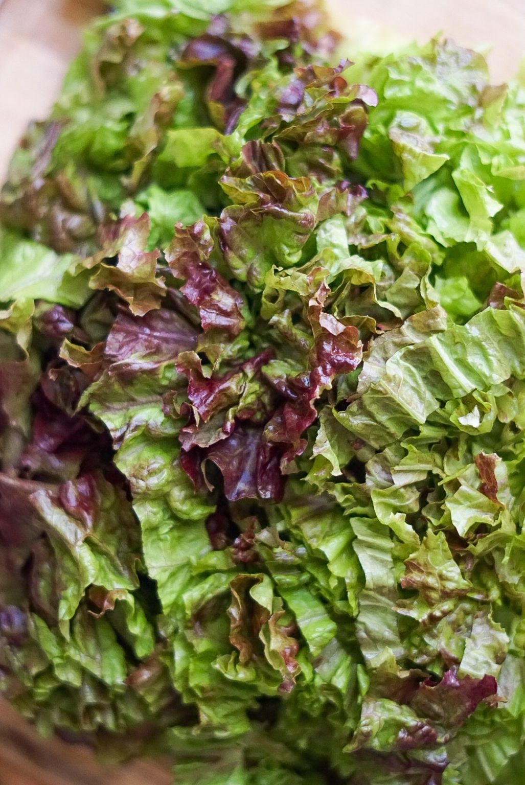 Red Leaf Lettuce Salad with Raisins, Walnuts, and Curry Tahini Dressing ...